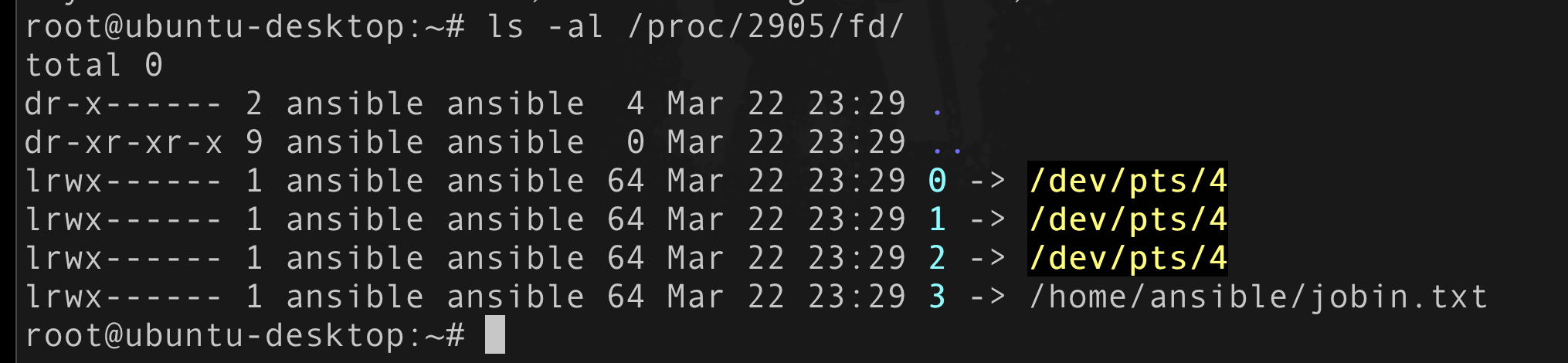 Inode File Descriptors And Fd Leaking 
